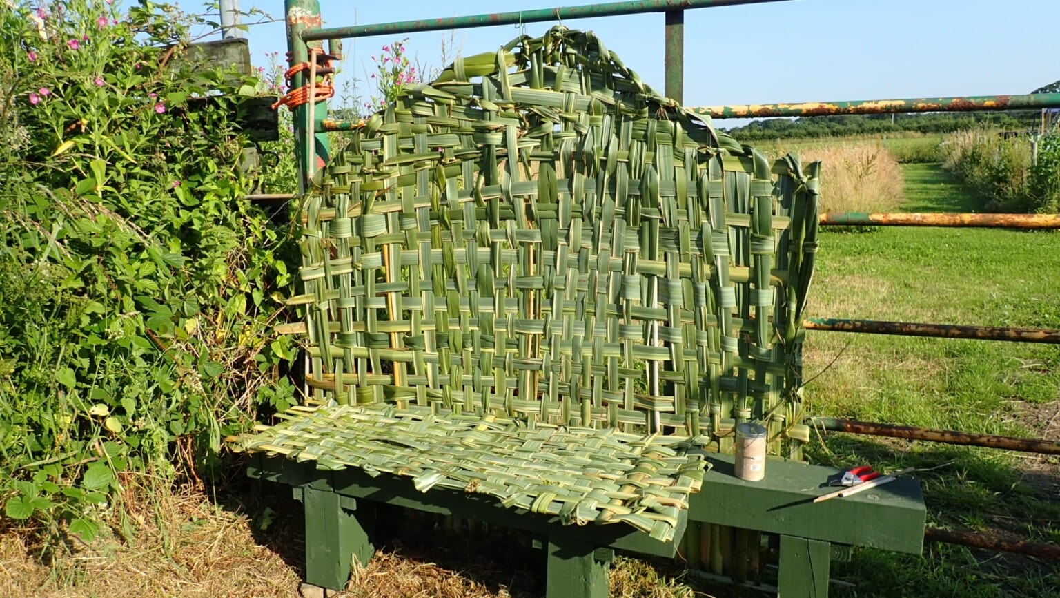 Weaving with NZ Flax Fronds - Jane Baxter Art