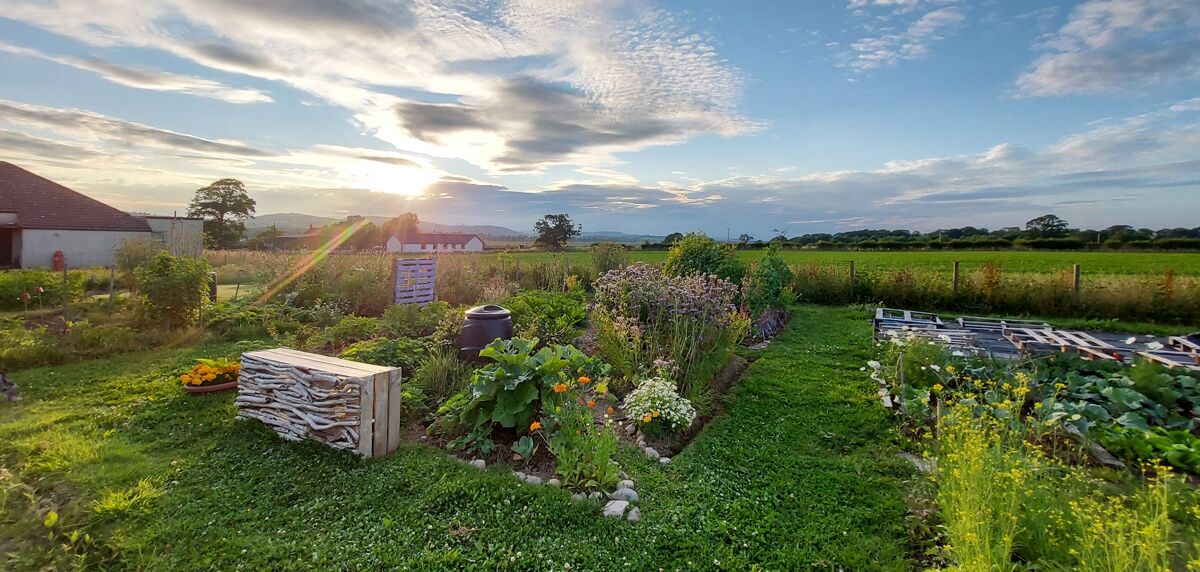 Pallet Bench for the Allotment - Jane Baxter Art
