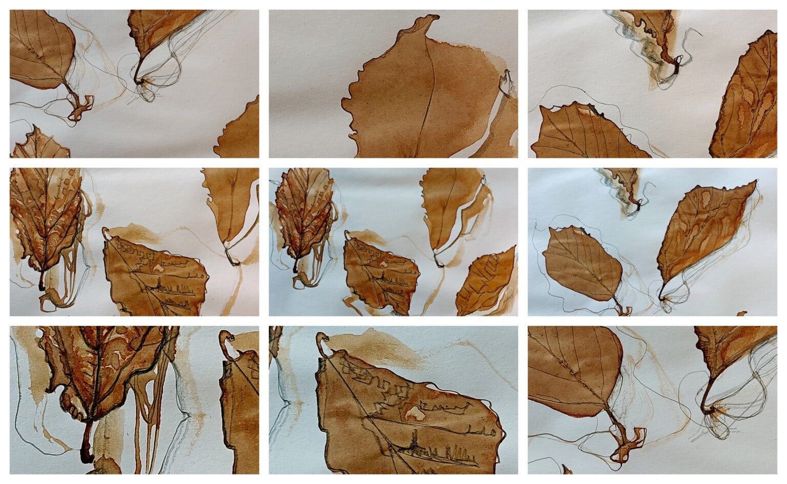 Witch Hazel Leaf Ink Sketches - Jane Baxter Art