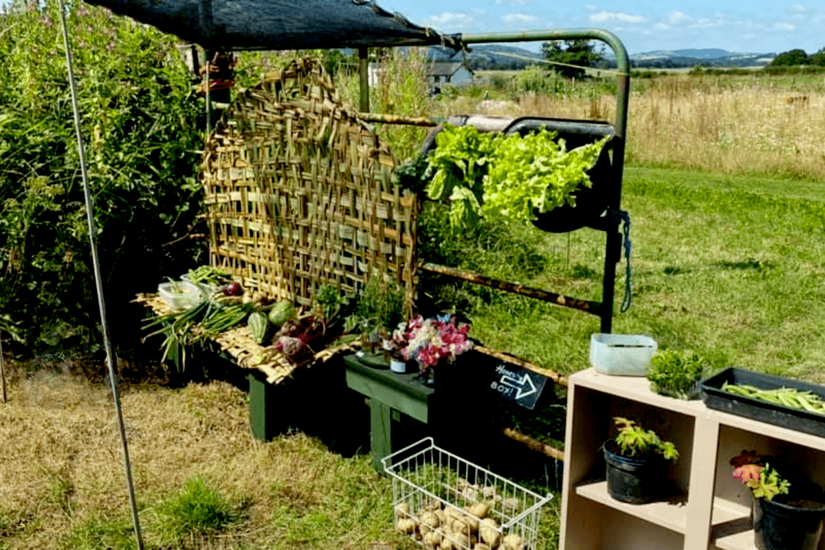 Weaving with NZ Flax Fronds - Jane Baxter Art